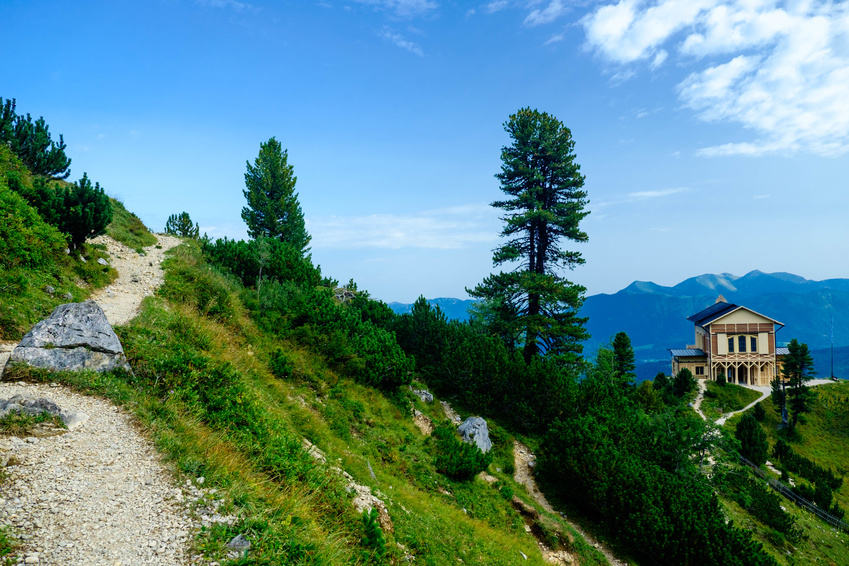 Tour zum Alpengarten auf den Schachen - GartenNatur