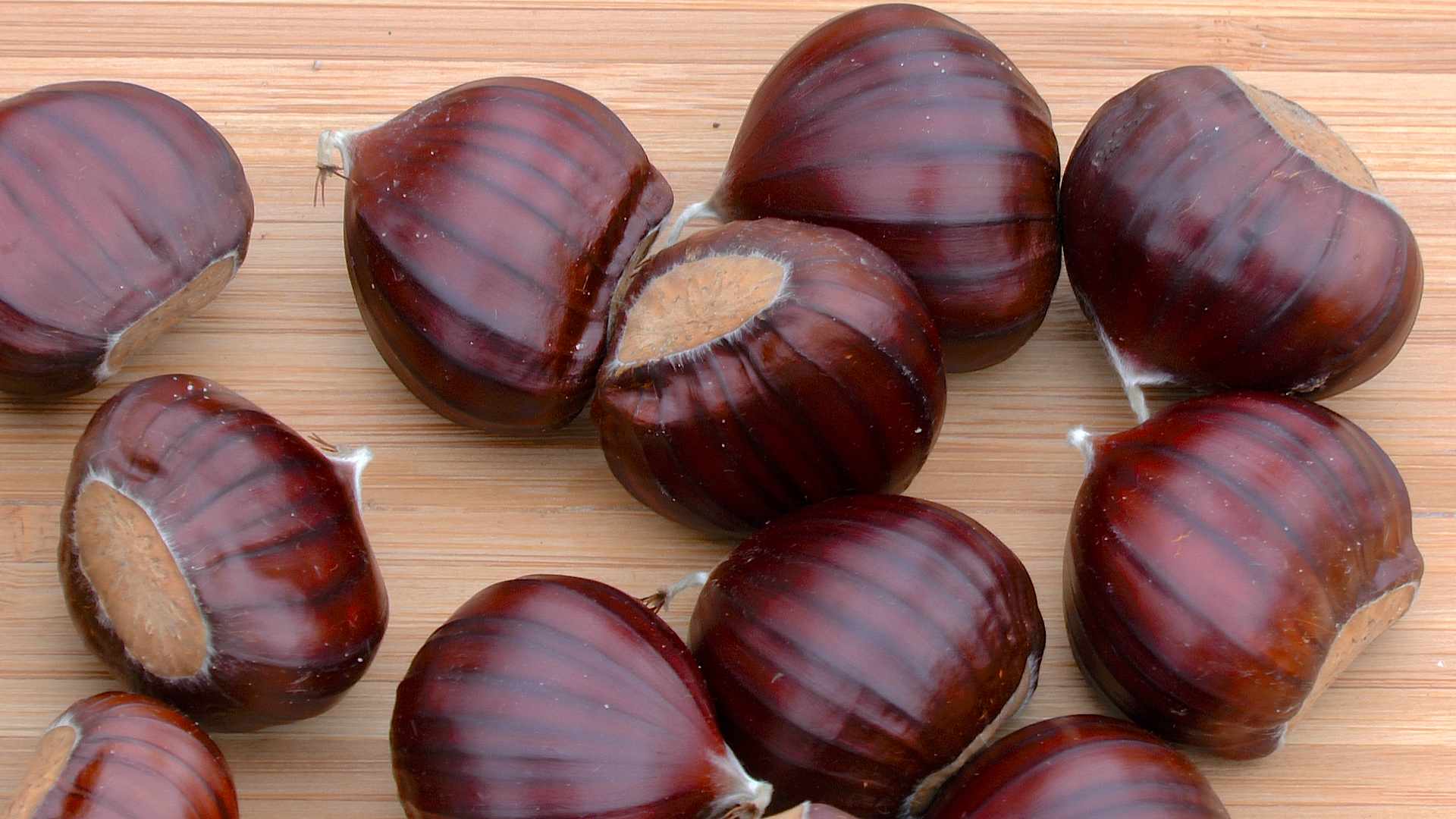 Edelkastanie / Esskastanie - im Pflanzenlexikon >> GartenNatur.com